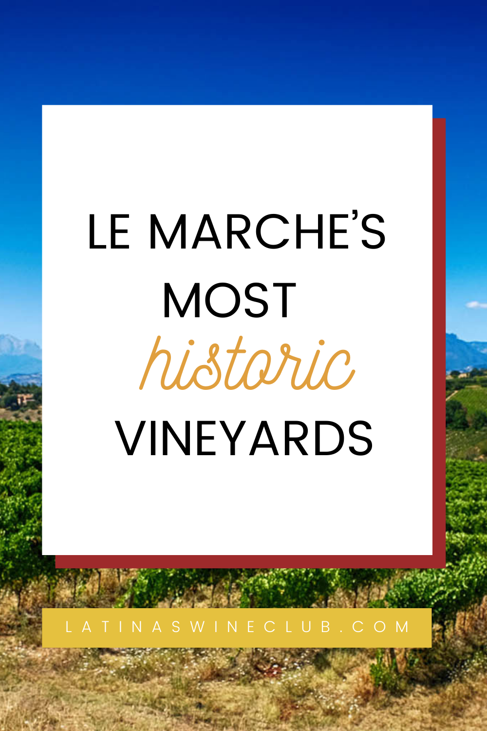 Le Marche’s most historic vineyards - Latinas Wine Club Inc.