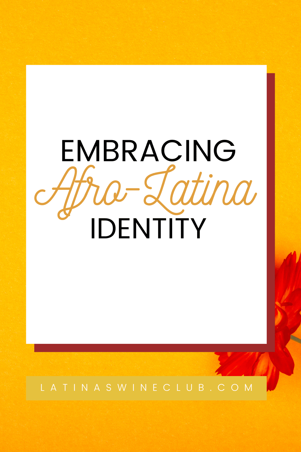 Embracing Afro-Latina Identity - Latinas Wine Club Inc.